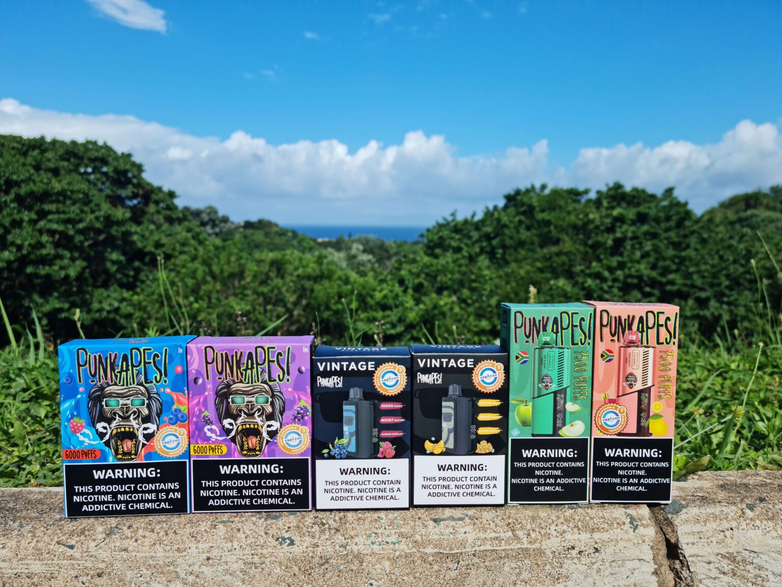 PunkApes Vapes – South Africa's Hard-Hitting Full-Flavored Disposable