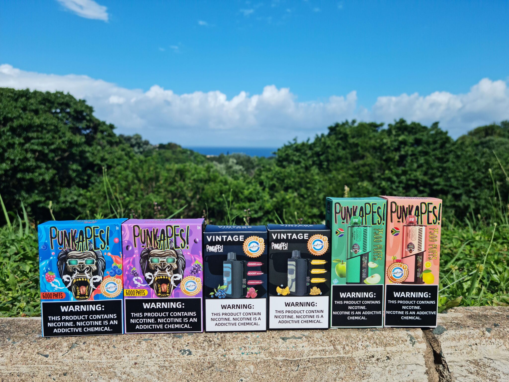 PunkApes Vapes – South Africa's Hard-Hitting Full-Flavored Disposable